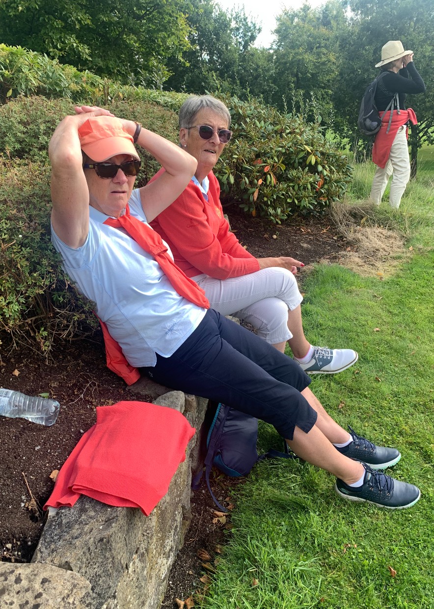 Ladies move one step closer to an All-Ireland pennant… – Greystones ...